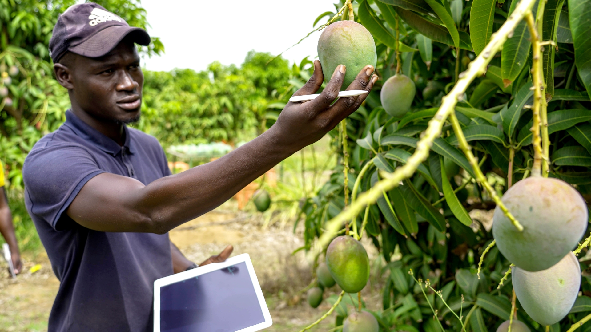 How to Conduct Key Informant Interviews: A Practical Guide 2025 ...